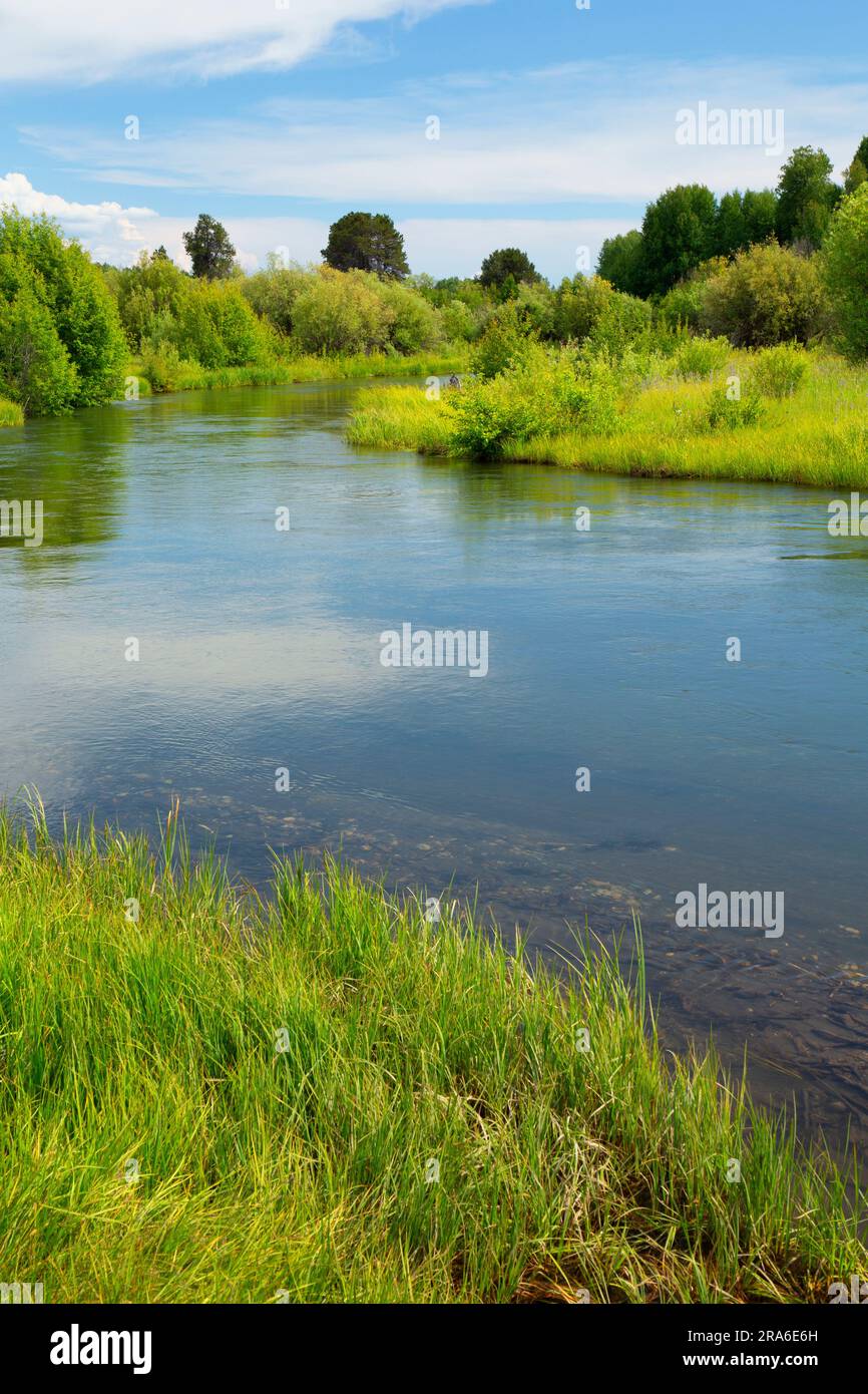 Wood River, Winema National Forest, Oregon Stock Photo - Alamy