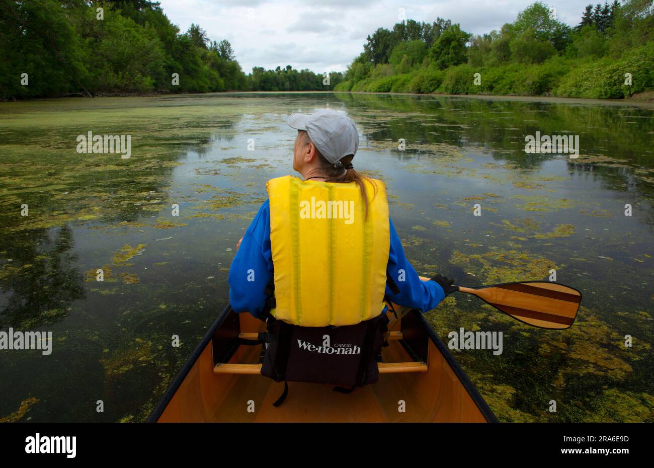 Canoeing on Mission Lake, Willamette Mission State Park, Oregonv Stock ...