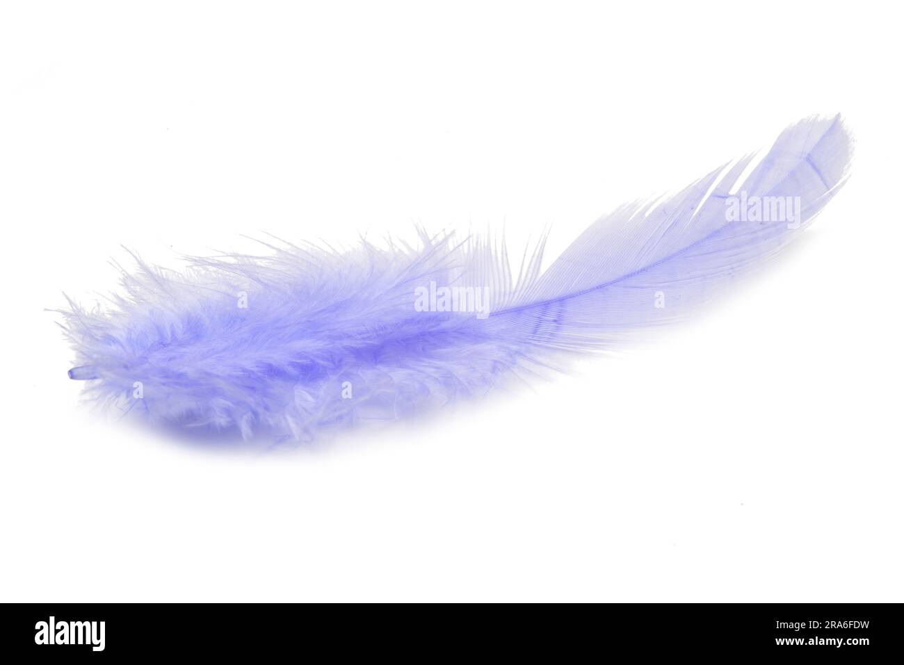 Fluffy feather Cut Out Stock Images & Pictures - Alamy