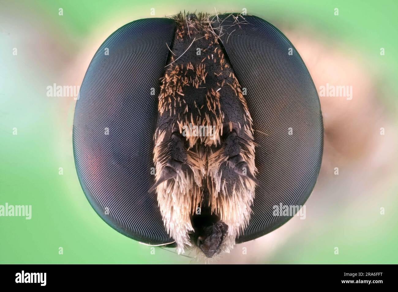 Villa modesta hi-res stock photography and images - Alamy
