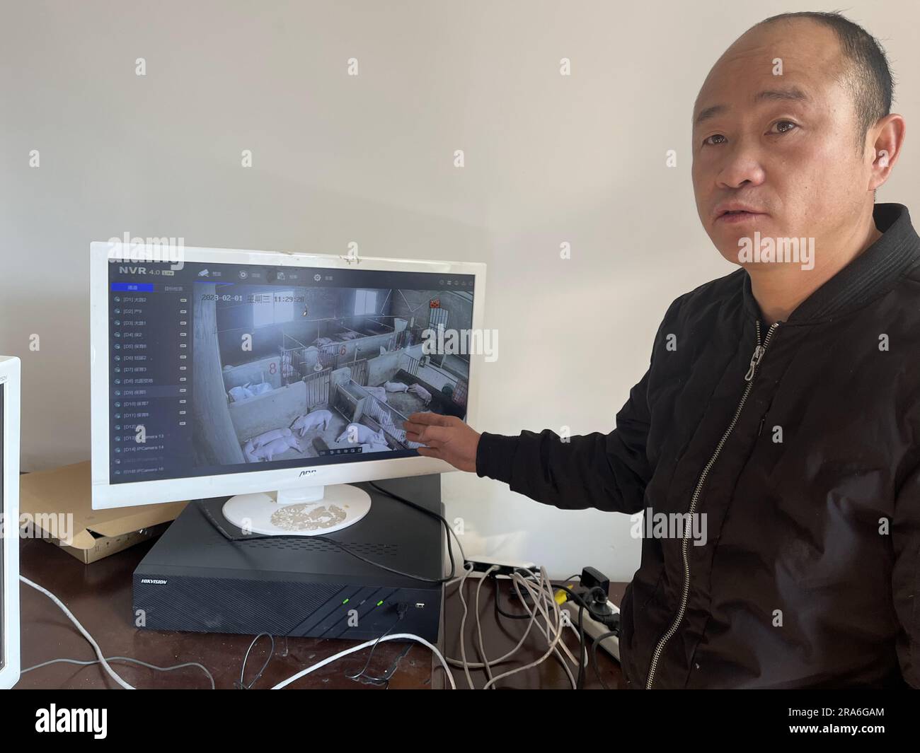 China pigs rural hi-res stock photography and images - Alamy