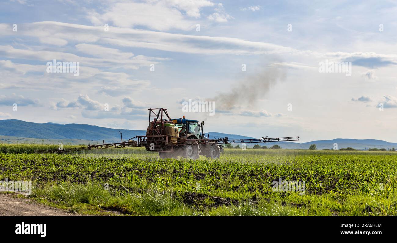 Tractor spraying pesticides on corn field with sprayer at spring Stock ...