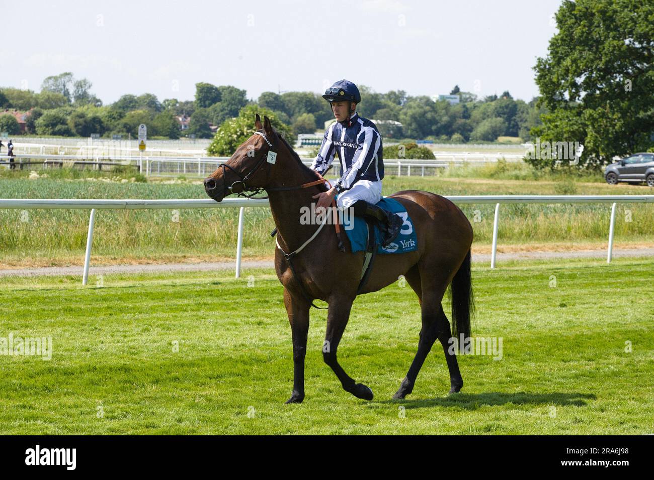 Al simmo hi-res stock photography and images - Alamy