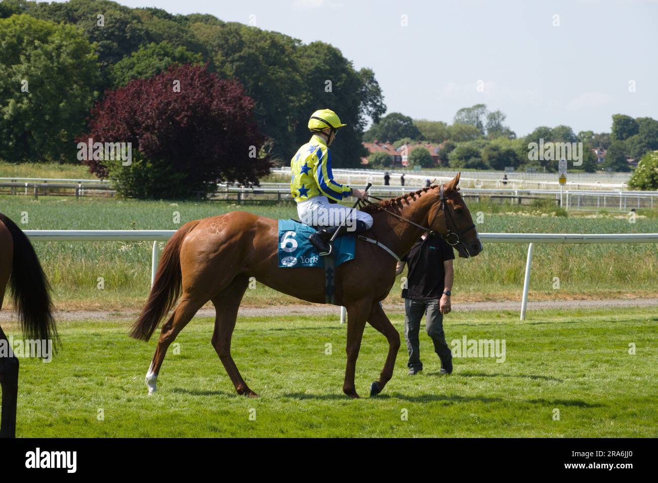 International horse races hi-res stock photography and images - Alamy