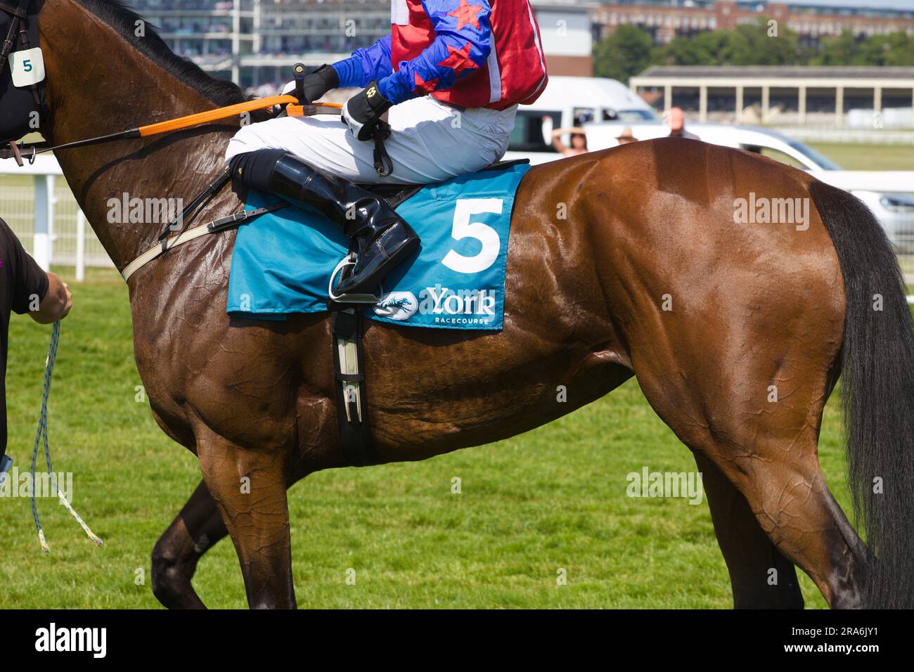 Jockey Dylan Hogan on Silver Screen at York Races Stock Photo - Alamy