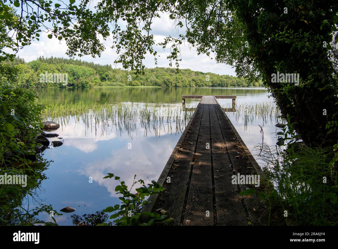 Jetty lake northern ireland hi-res stock photography and images - Alamy