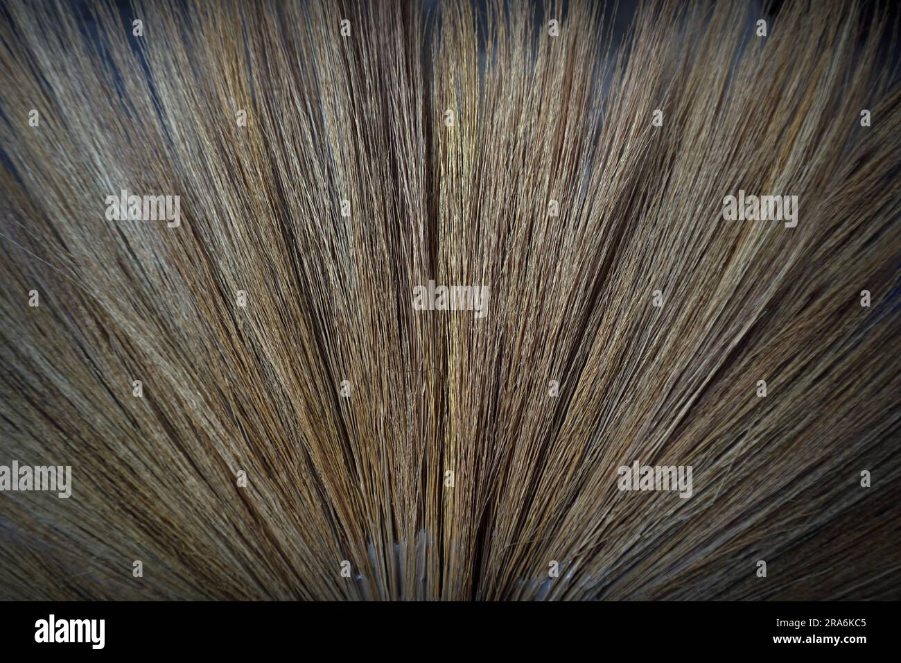 Photograph studio old background hi-res stock photography and images ...