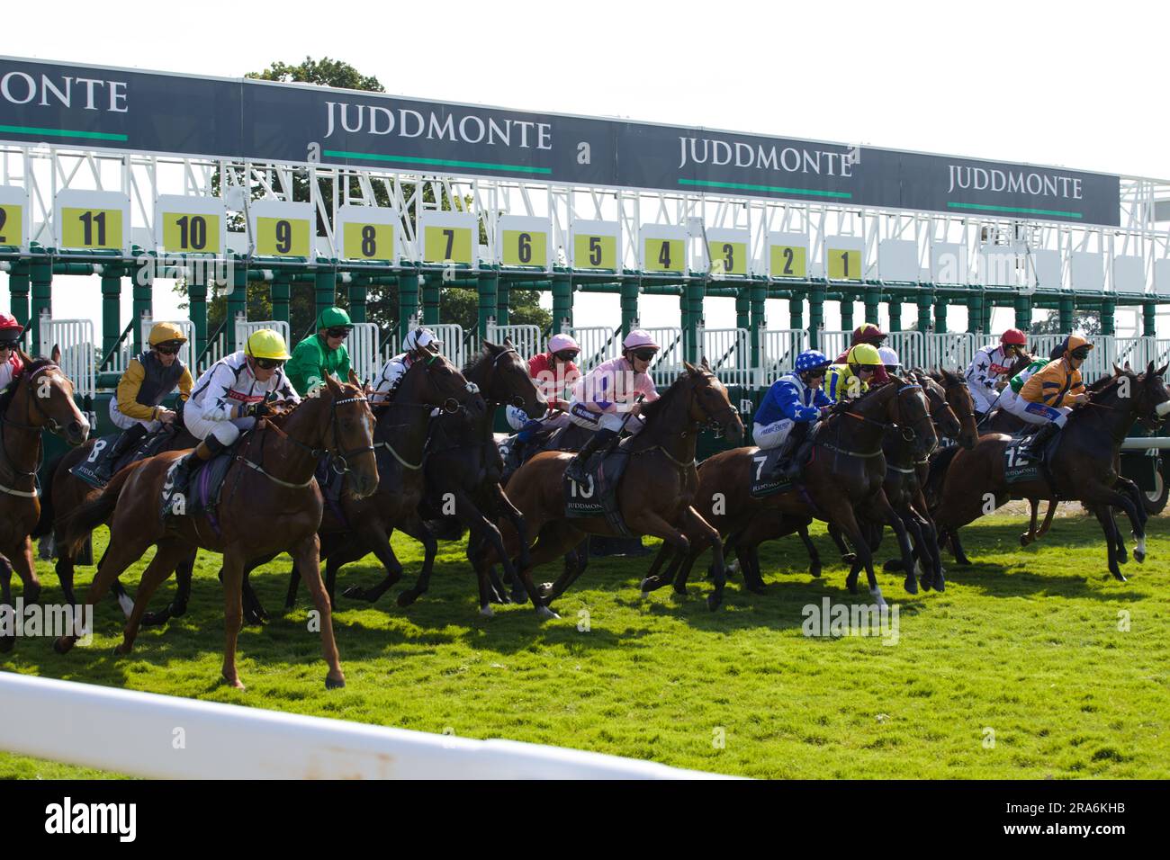 Novice racing hi-res stock photography and images - Alamy