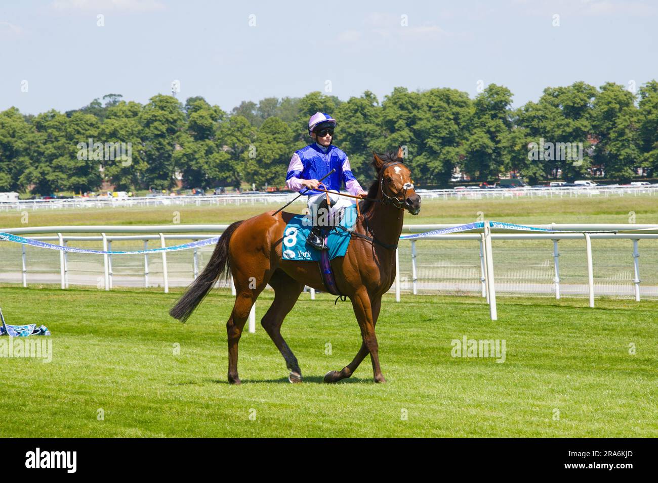 Jockey William Pyle on Showmedemoney at York Racecourse Stock Photo - Alamy