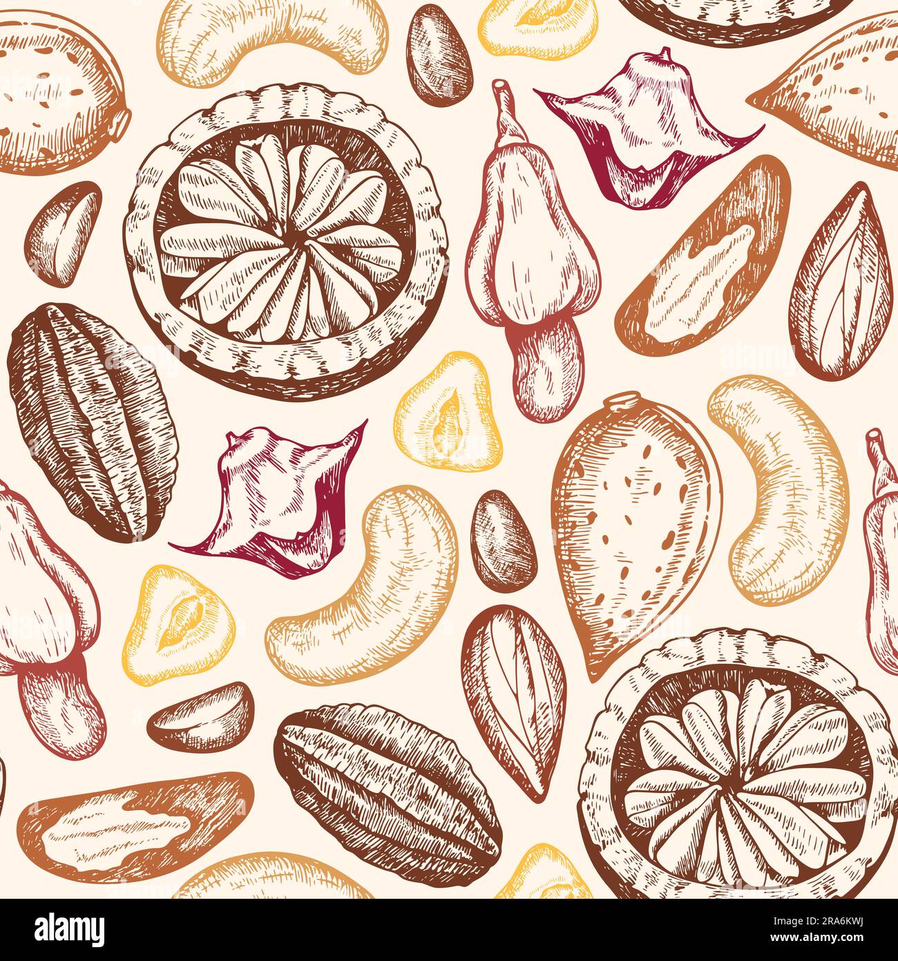 Vintage hand drawn seamless pattern with cashew, almond and brazilian ...