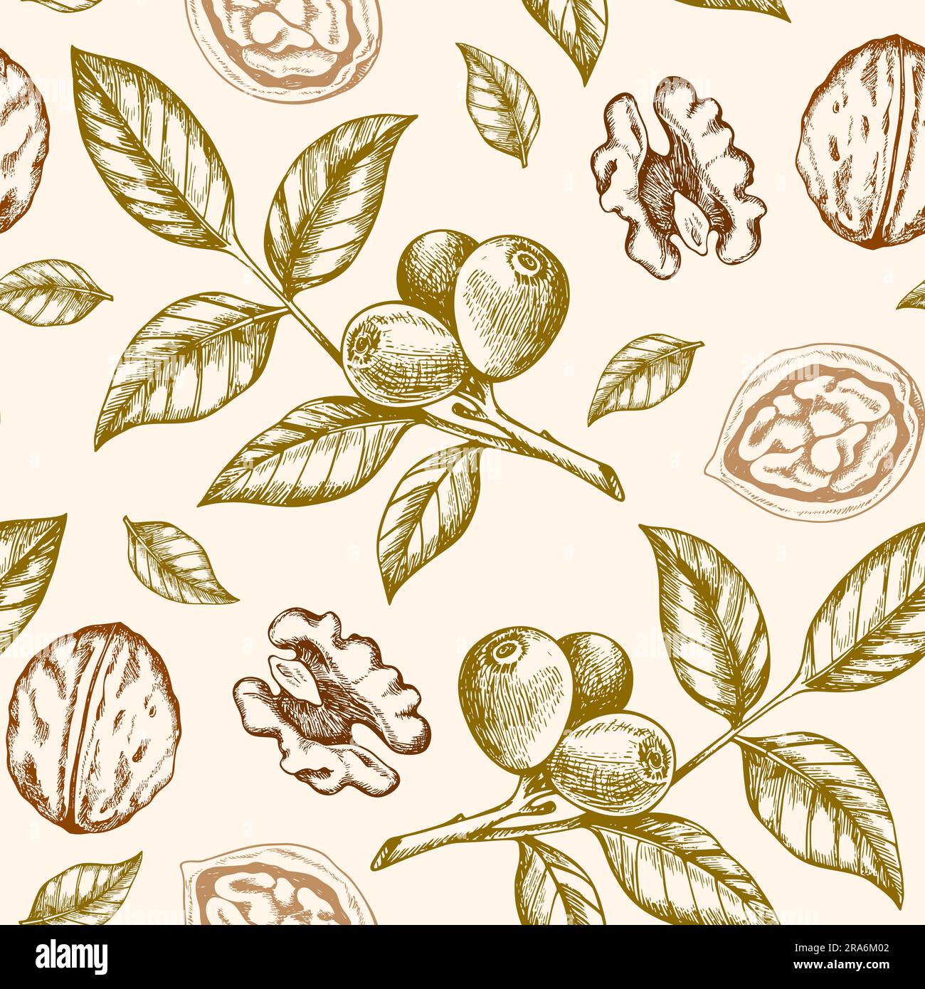 Walnut pattern seamless hi-res stock photography and images - Alamy