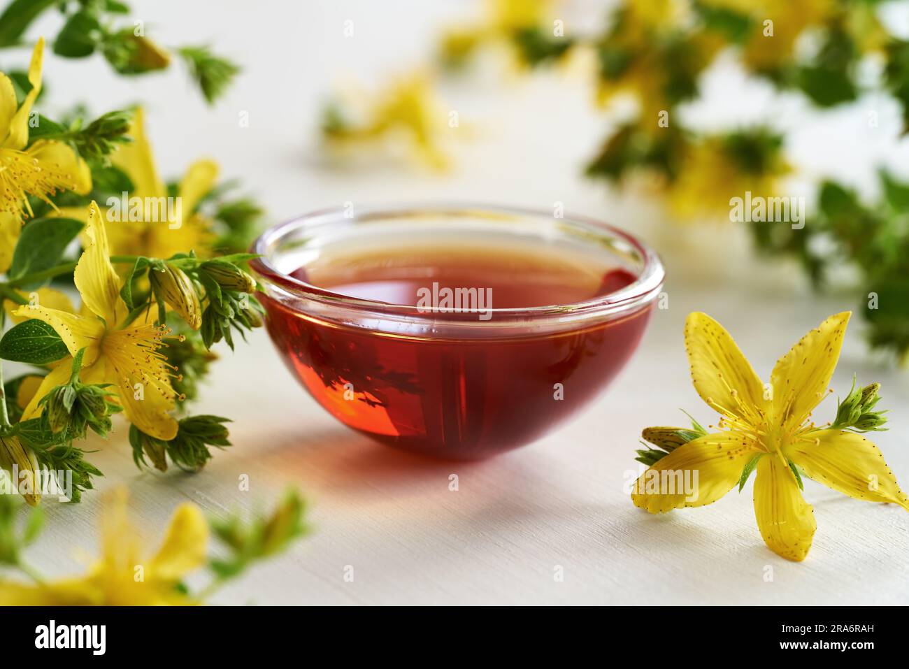 Red oil made from St. John's wort flowers in a bowl on white background ...