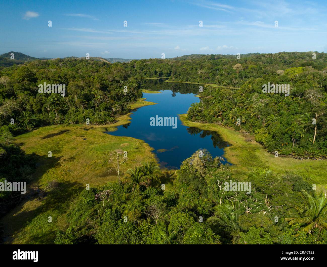 Aerial shot of tropical rainforest, Soberania National Park, Panama ...