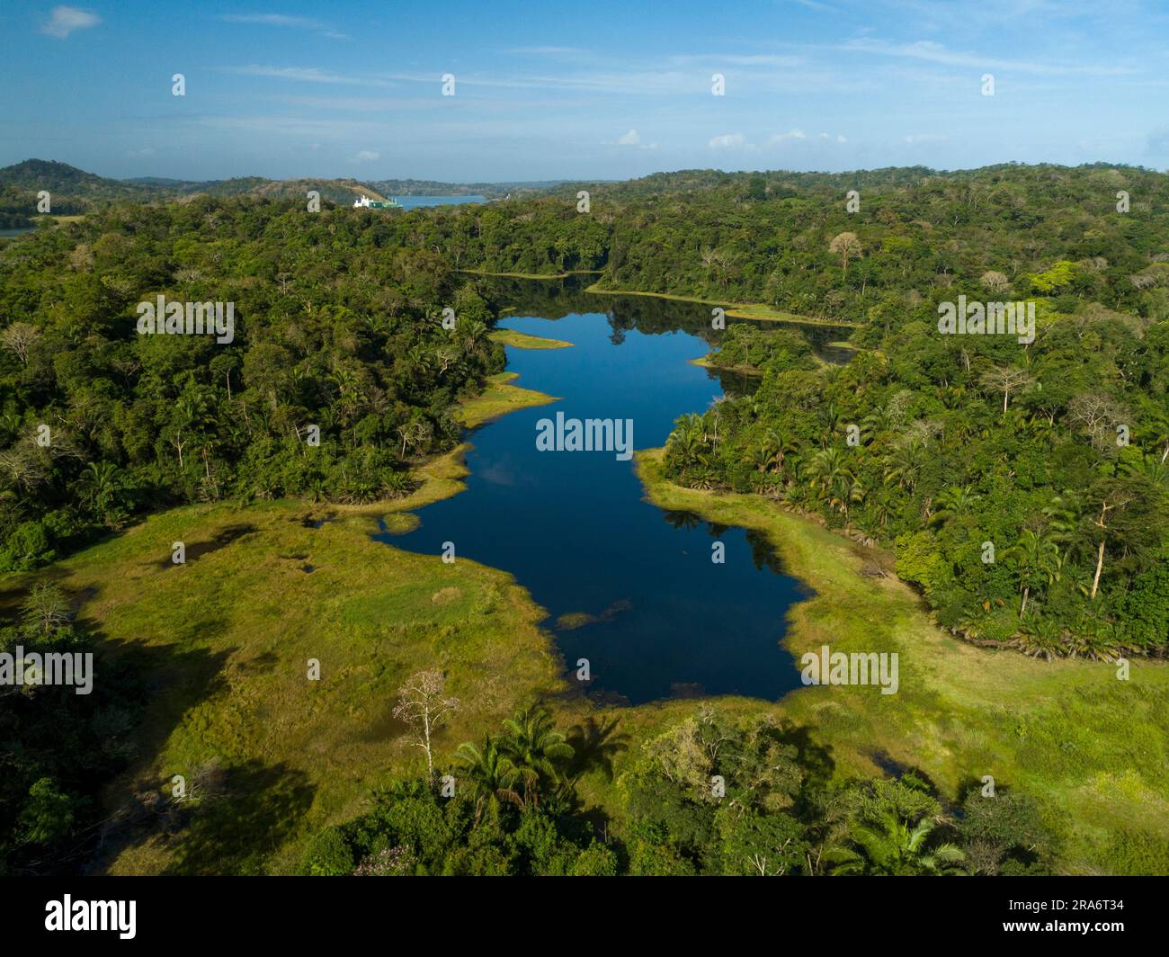 Aerial shot of tropical rainforest, Soberania National Park, Panama ...