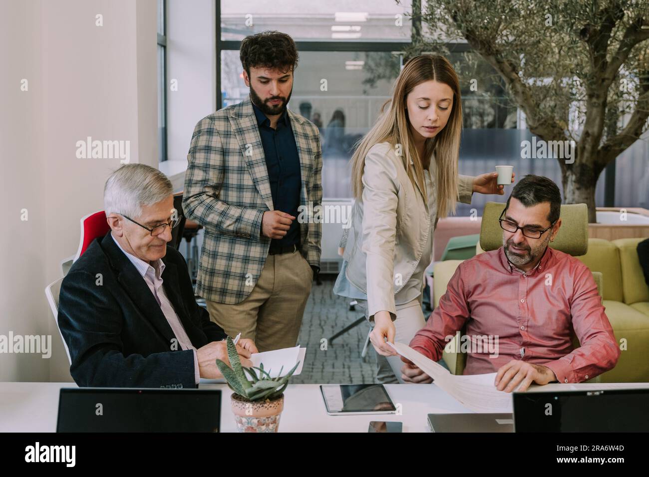 Two partners discussing the papers together about the upcoming project ...