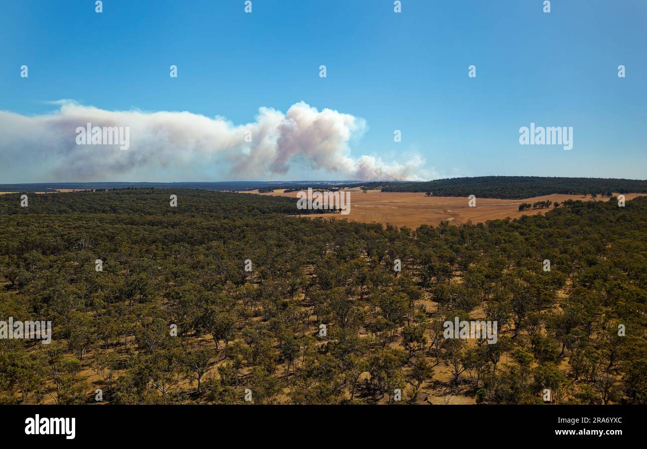 Fire and smoke in Dryandra Woodland National Park in Western Australia ...