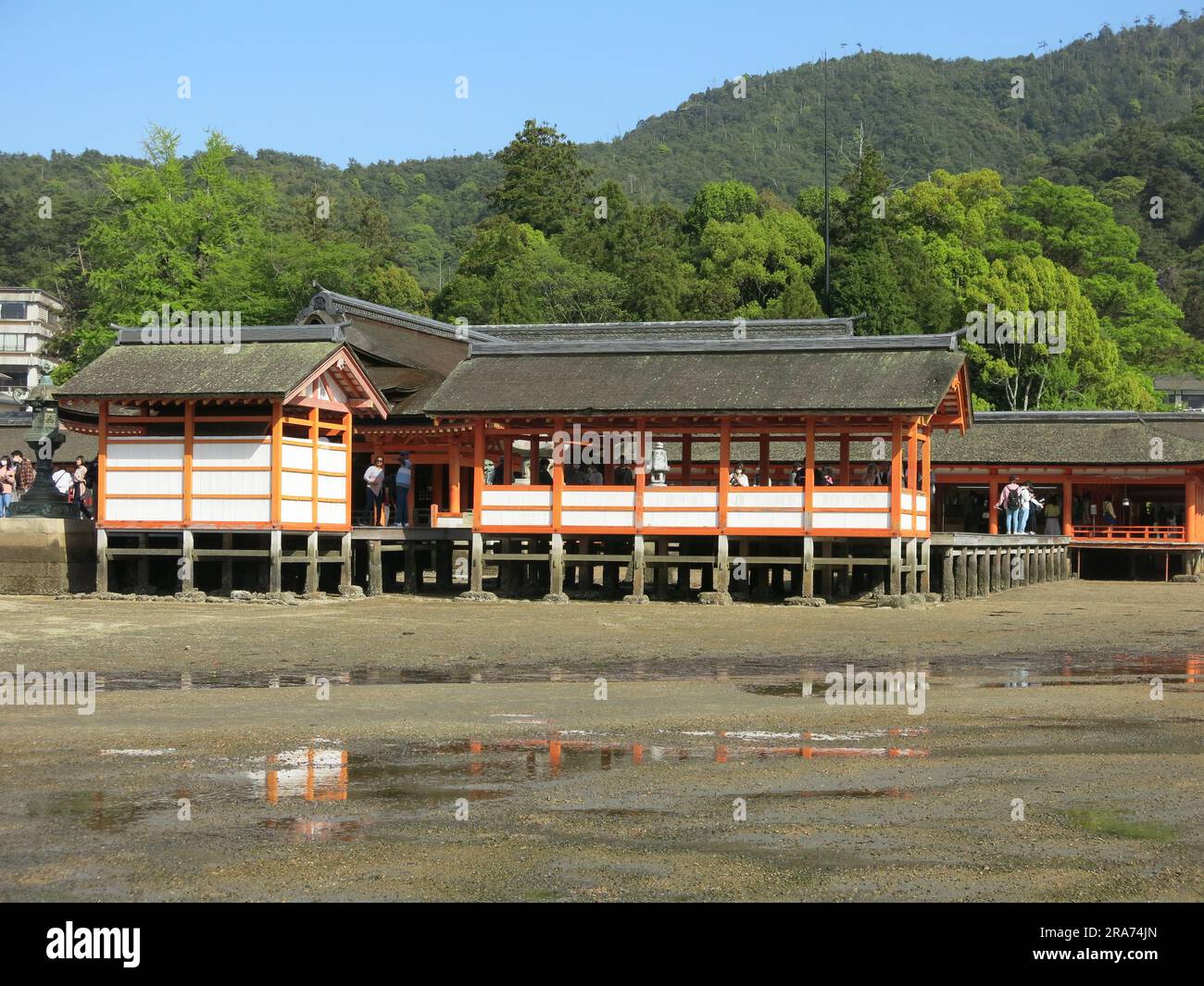 Some of the buildings on stilts connected with wooden walkways that ...