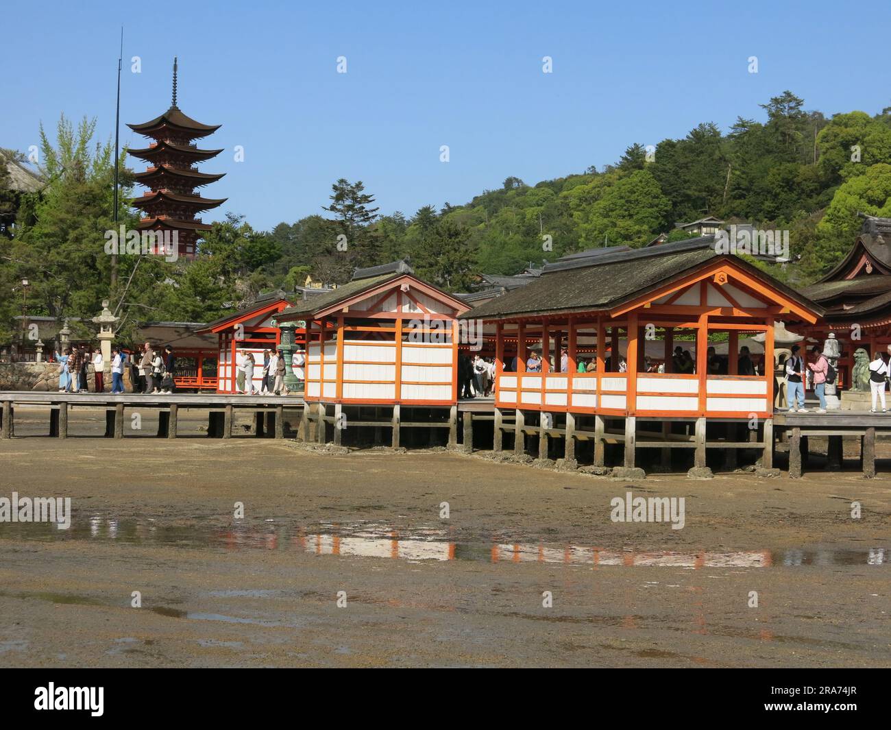 Some of the buildings on stilts connected with wooden walkways that ...