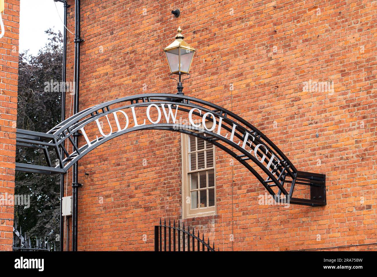 College emblem hi-res stock photography and images - Alamy