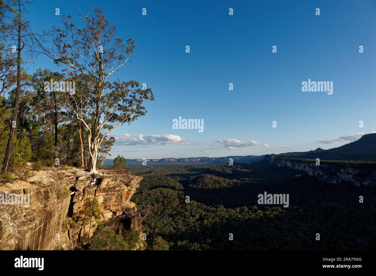 Carnarvon National Park located in the Southern Brigalow Belt bioregion ...