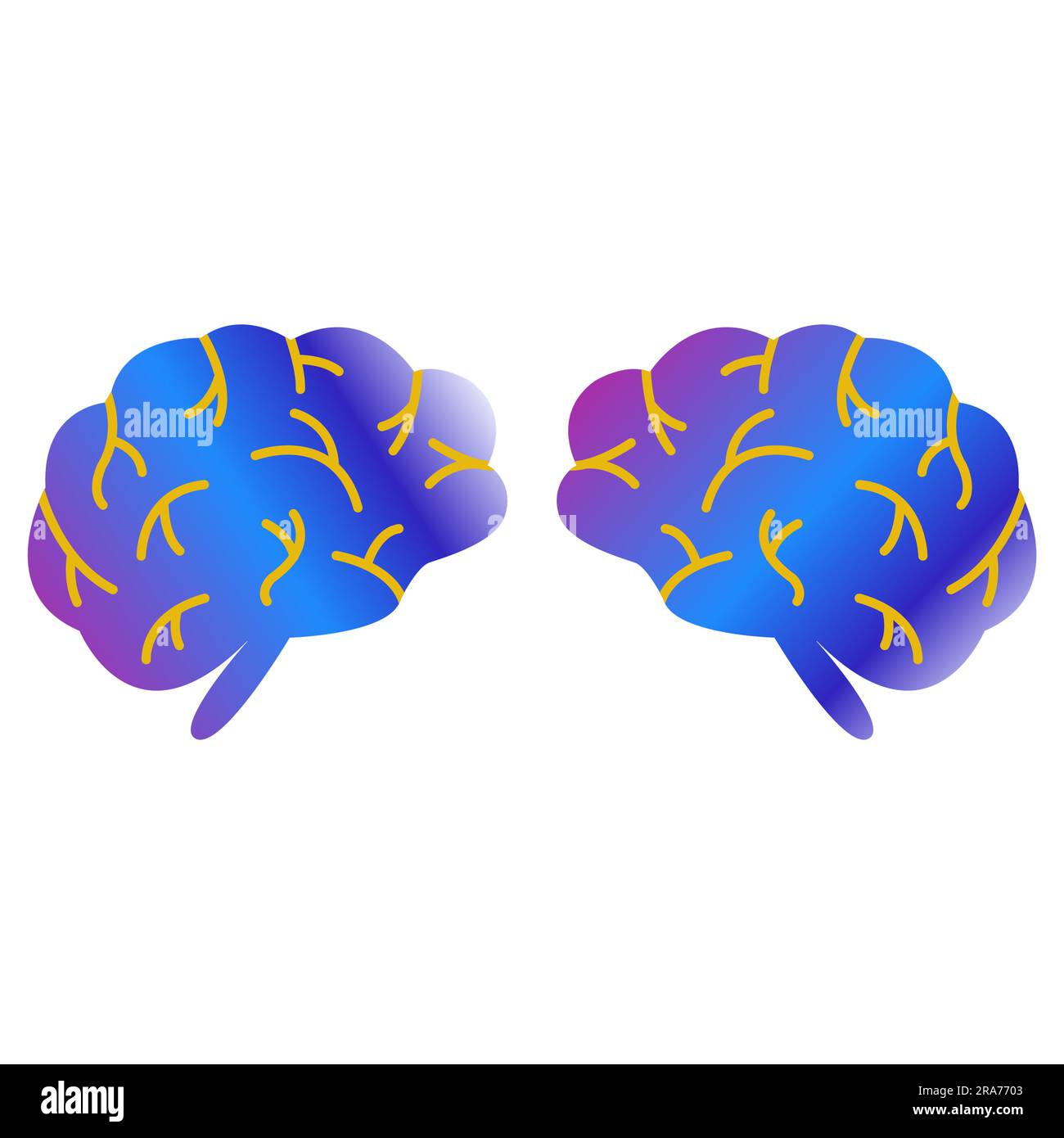 Two brains Stock Vector Images - Alamy