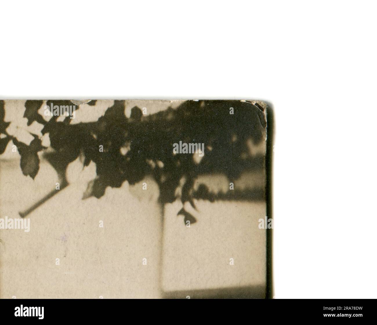 Lev Nikolayevich Tolstoy (Russian: Лев Николаевич Толстой; 9 September ...