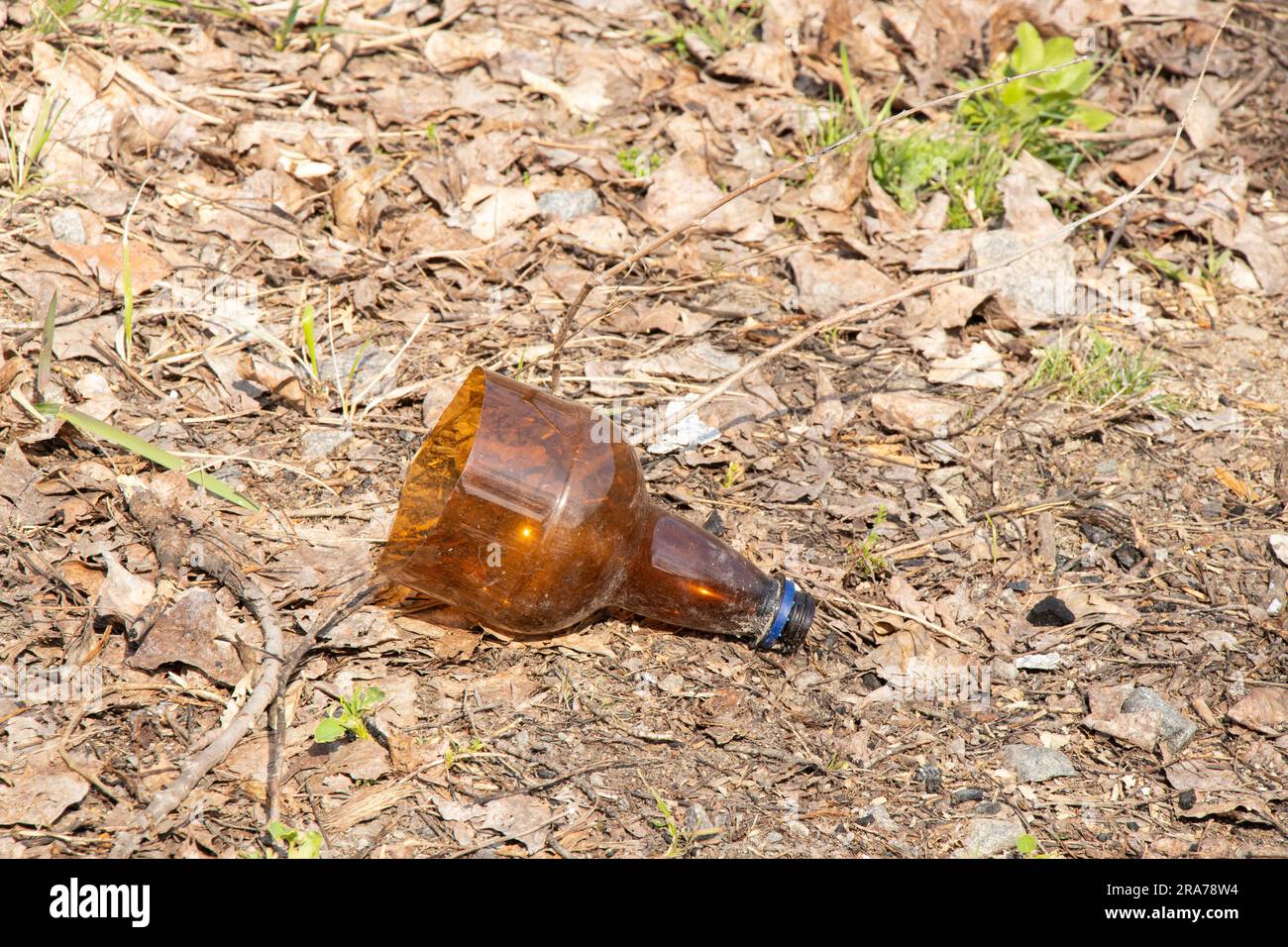 a plastic bottle lies on the grass, trash in nature Stock Photo - Alamy