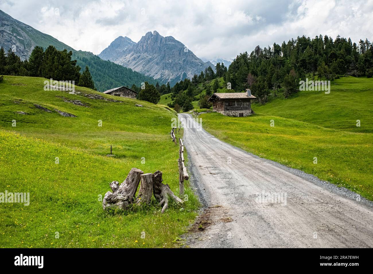 Alpine road in the alps of Valtellina Stock Photo - Alamy