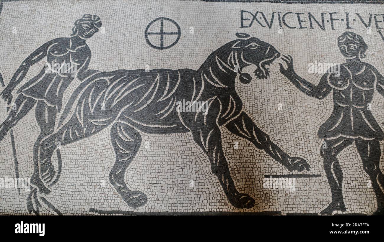 Rome, Italy - 24 Nov, 2022: Mosaic depicting Gladiators and a Tiger at ...