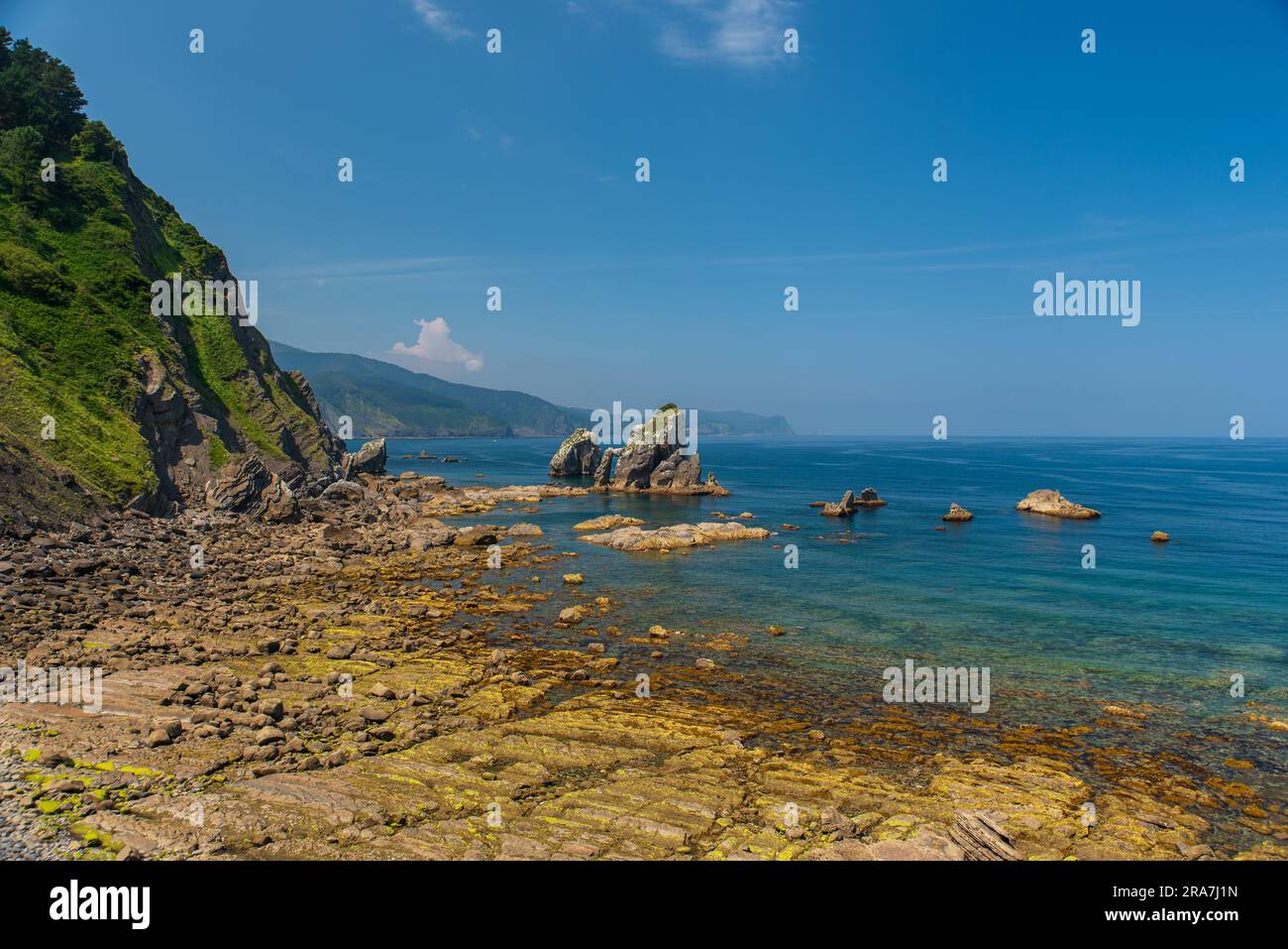 Aerial view of coast on North Spain in Bakio Stock Photo - Alamy