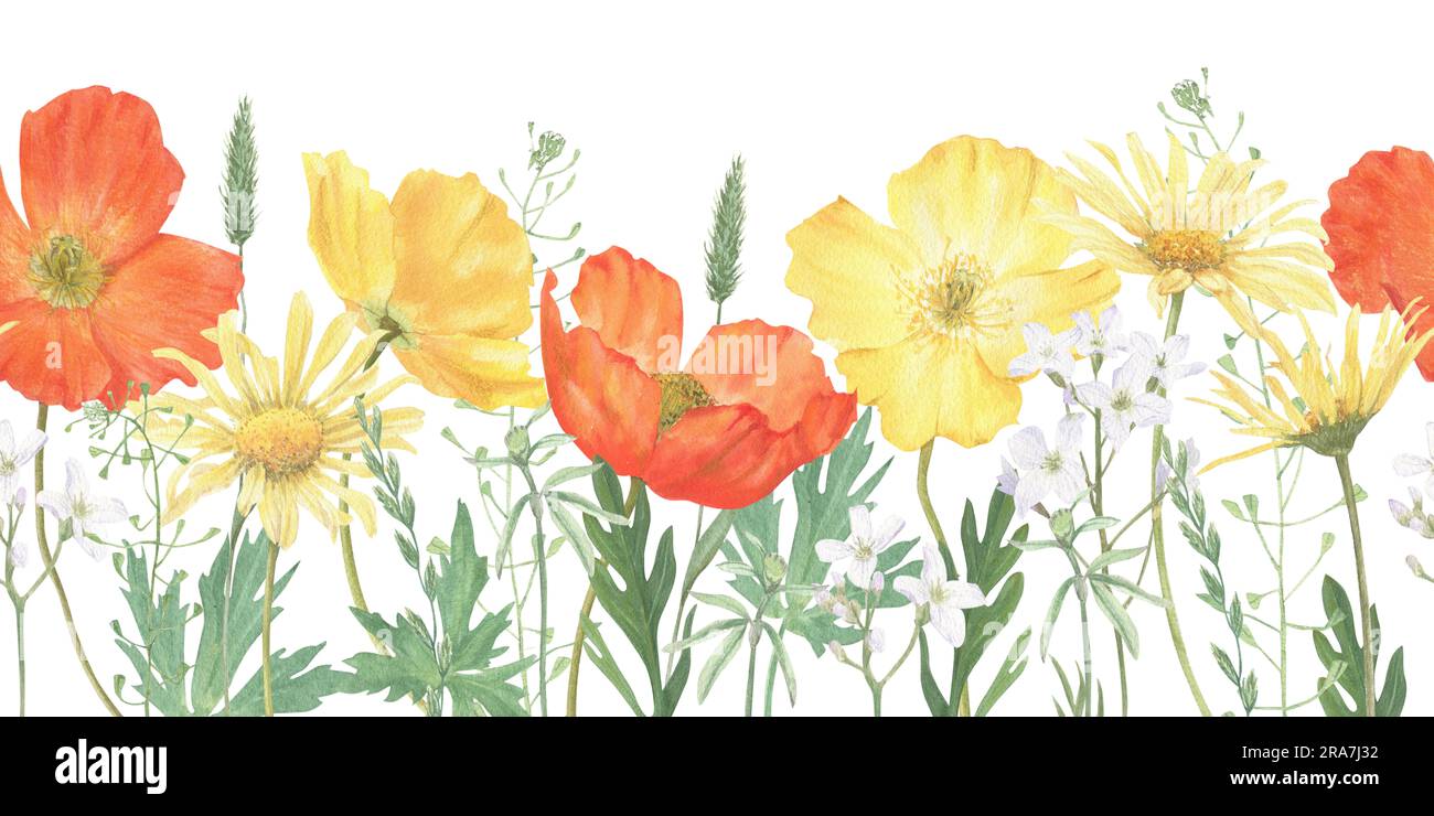 Seamless border of summer flowers hand drawn in watercolor. Floral ...