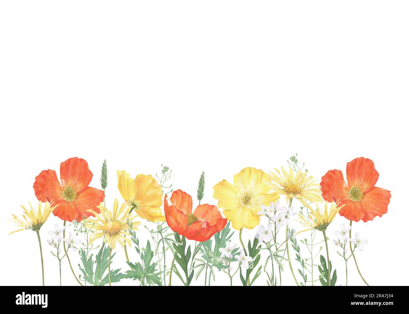 Bright banner of summer flowers hand-drawn in watercolor. Floral ...