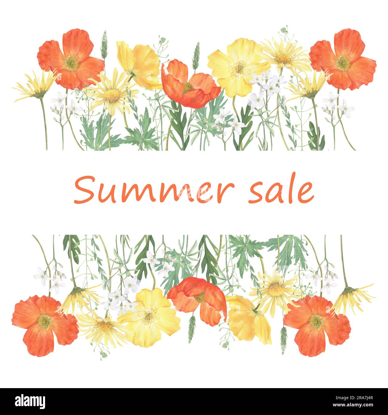 Bright banner of summer flowers hand-drawn in watercolor. Floral ...