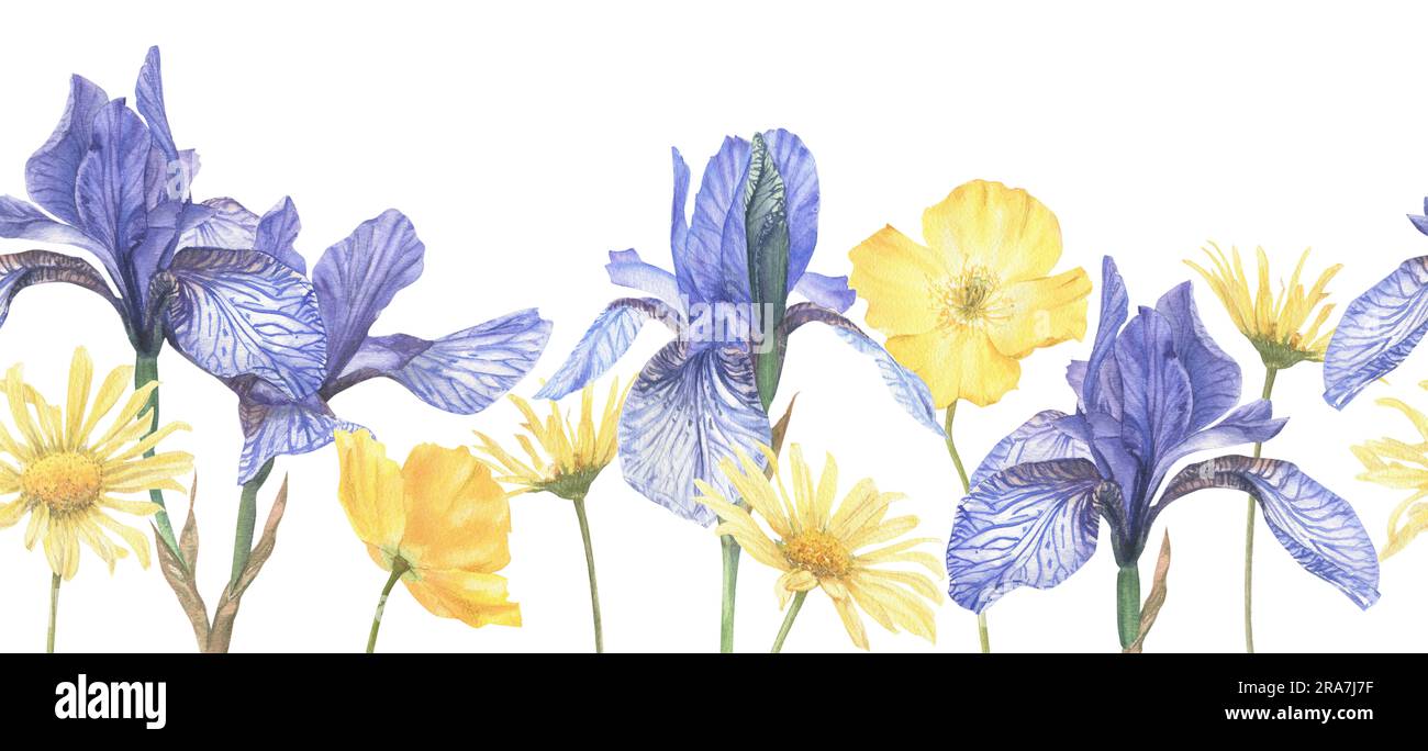 Seamless border of summer flowers hand drawn in watercolor. Floral ...