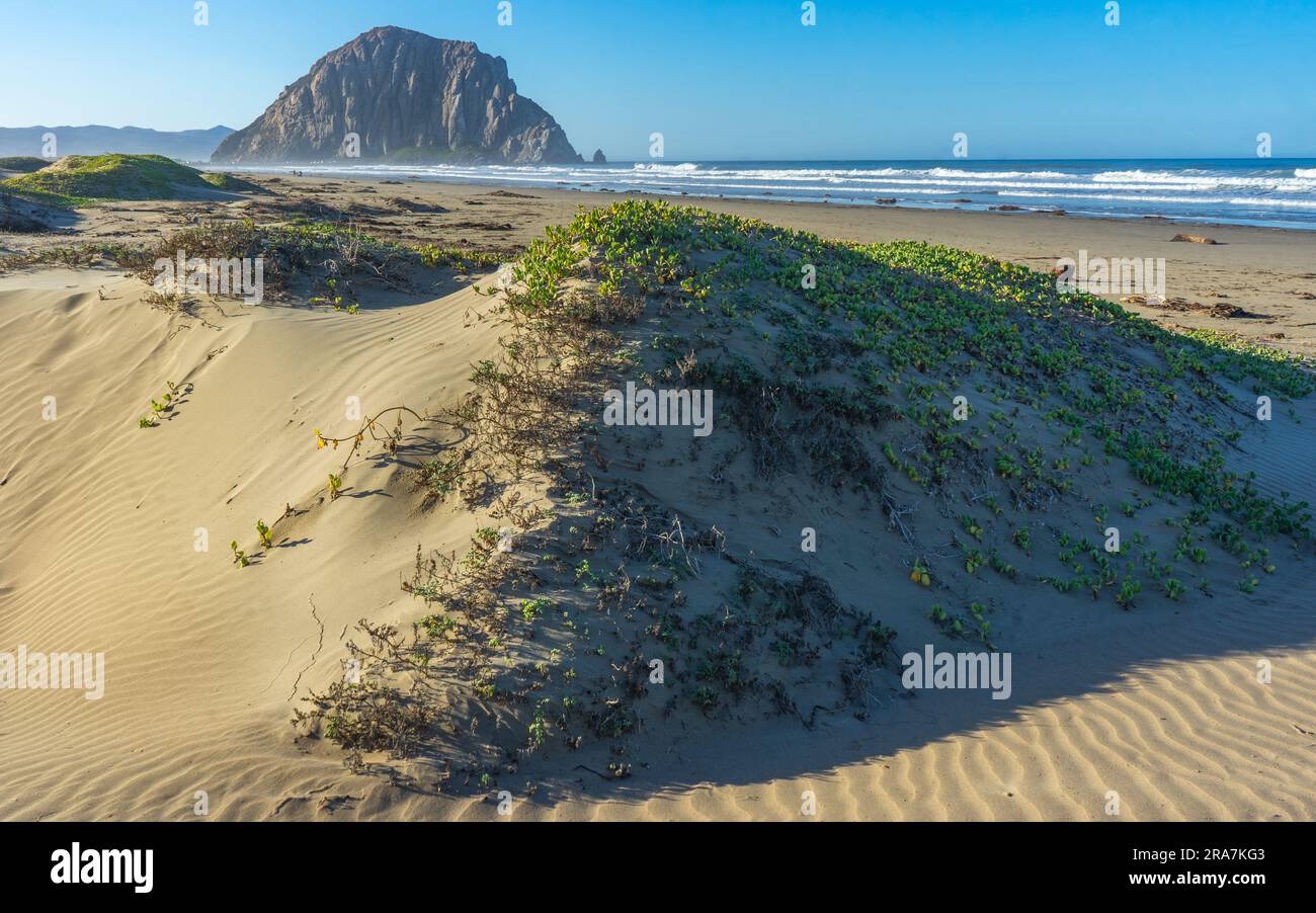 Morro strand hi-res stock photography and images - Alamy