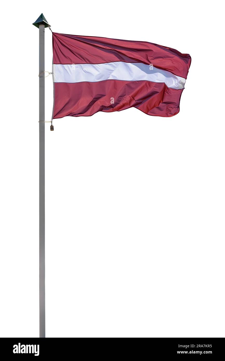Waving Latvian flag on a pole isolated on white background with clipping path Stock Photo - Alamy