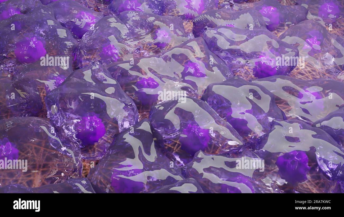 Dynamic Regeneration, Fracture Healing, Fibrocartilaginous Callus ...