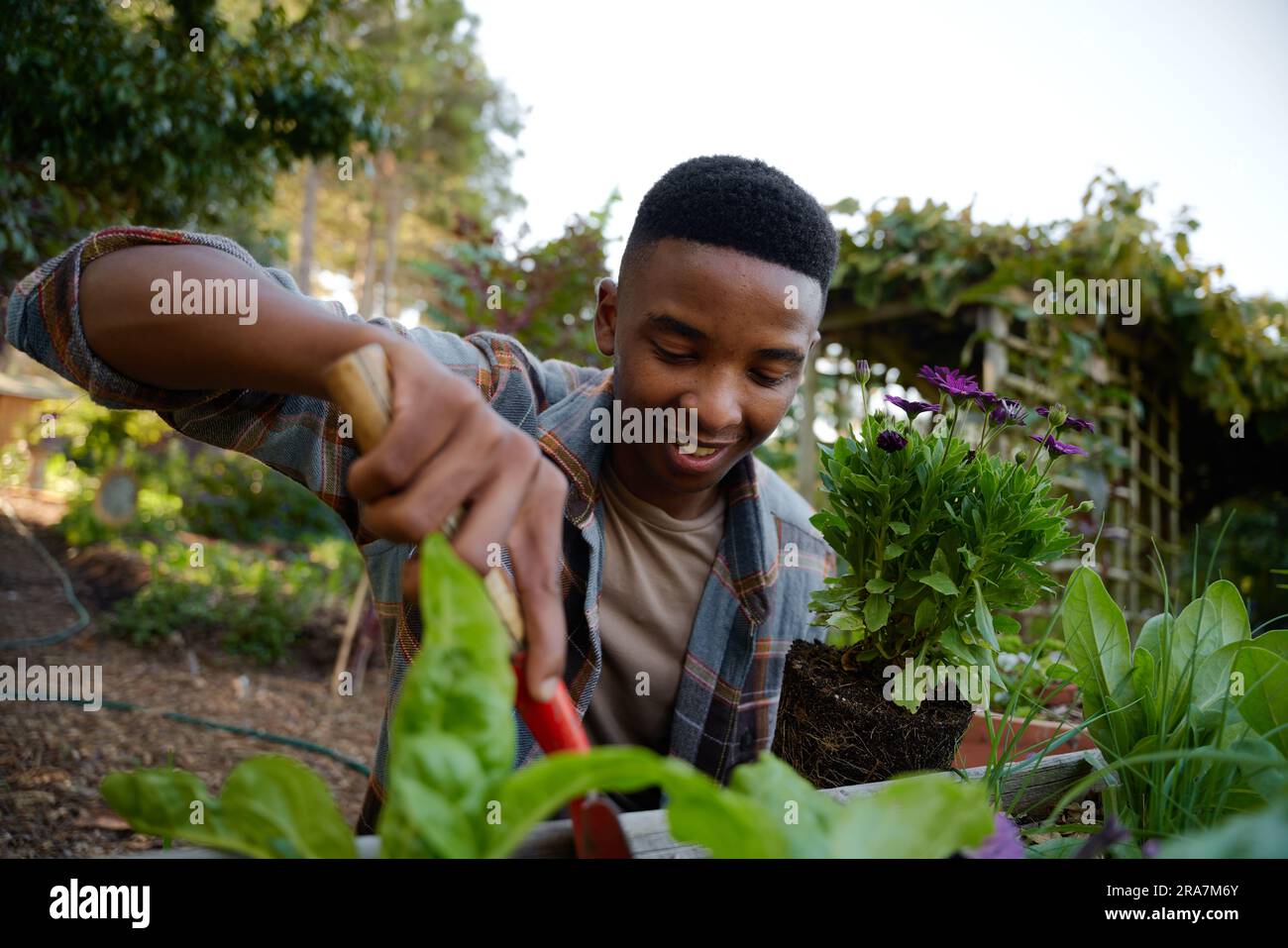 Man using garden spade hi-res stock photography and images - Alamy