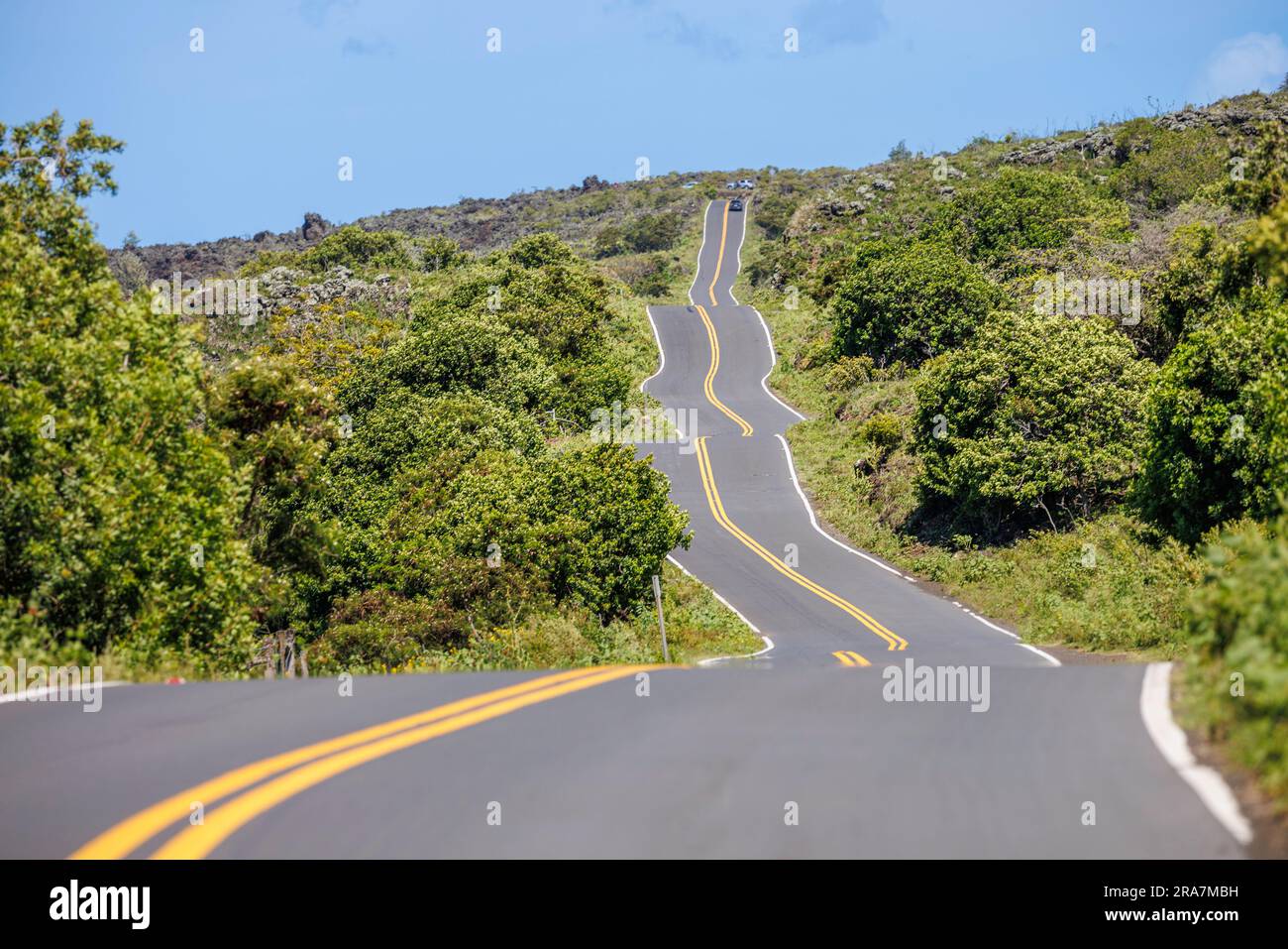 Cattle ranching hawaii hi-res stock photography and images - Alamy