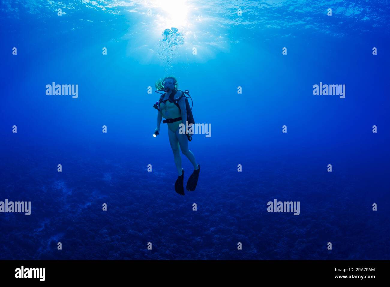 Diver (MR) with a light and sun rays shining down through the surface ...