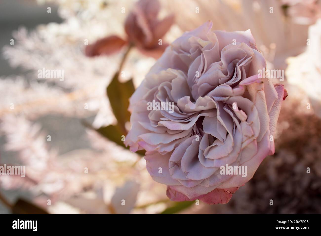 Stunning fairytale wedding with flowers decorated displaying lush ...