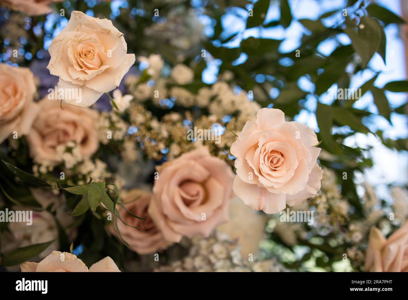 Stunning flower arrangement hi-res stock photography and images - Alamy