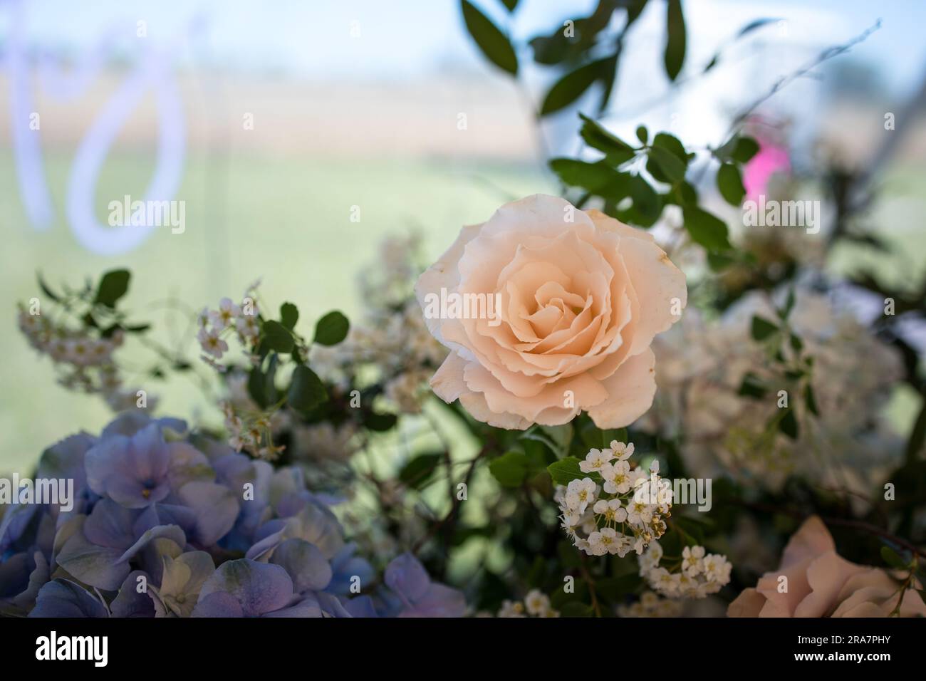 Stunning flower arrangement hi-res stock photography and images - Alamy