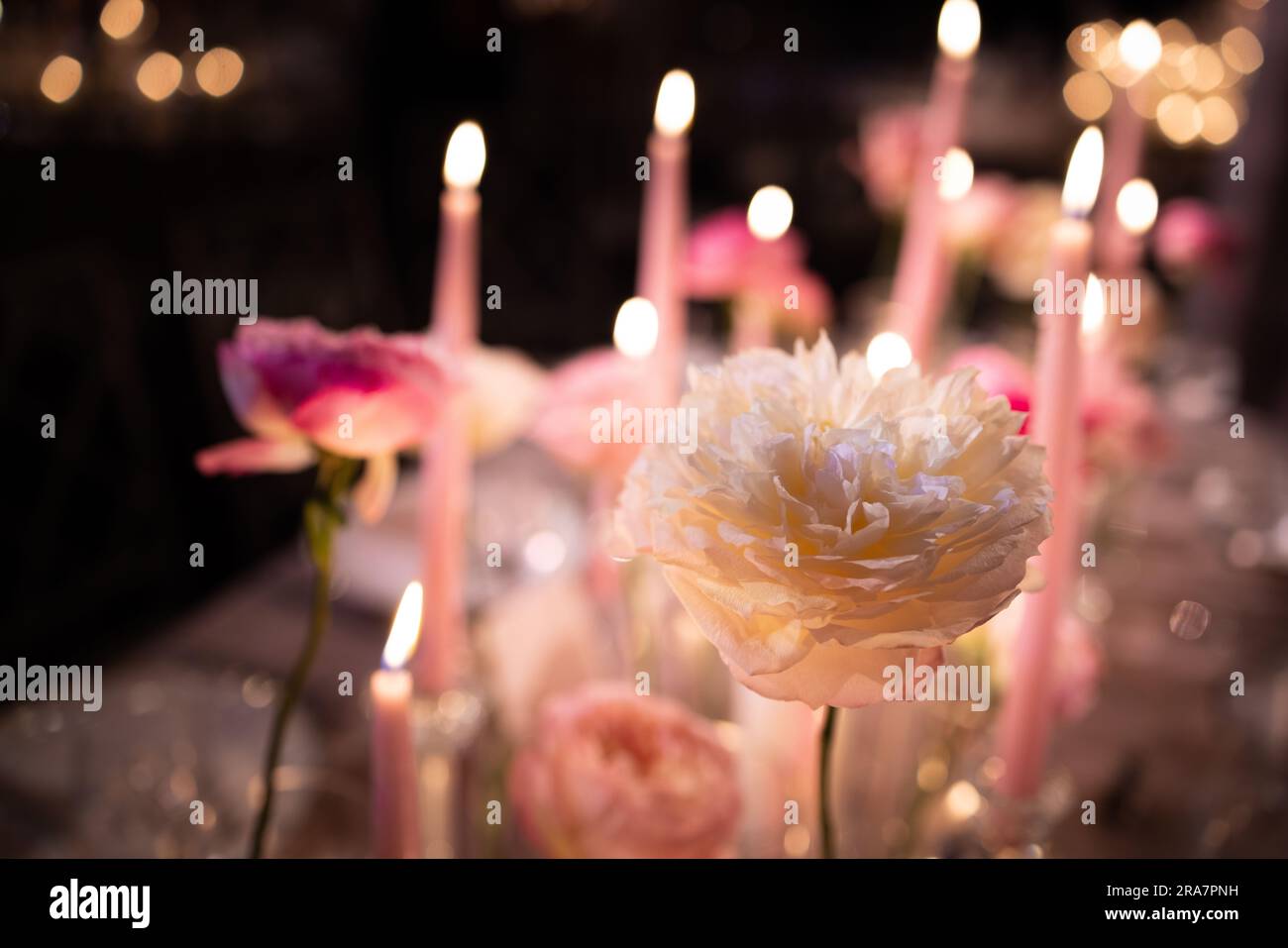 Chivalric wedding with pillars of candles and roses in glass vases ...