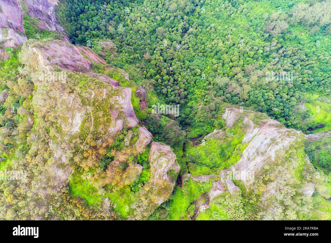 Top down aerial view of Grand Canyon at Pulpit rock Govetts leap ...