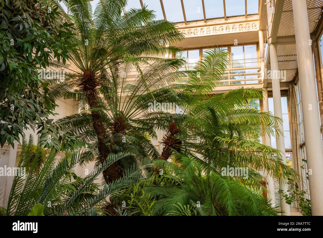 The University Botanical Garden (Botanisk hage) is Norway's oldest ...