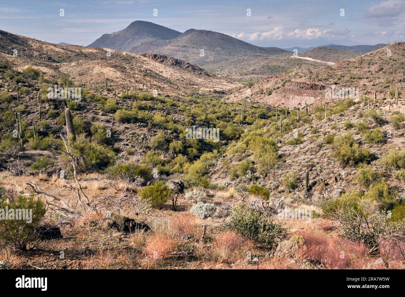 Cave creek regional park arizona hi-res stock photography and images ...