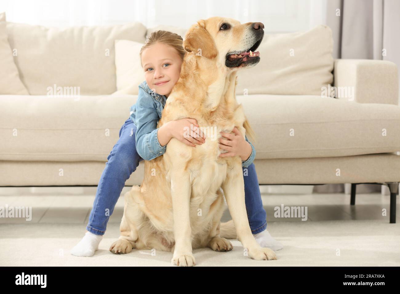 Cute child hugging her Labrador Retriever on floor at home. Adorable ...