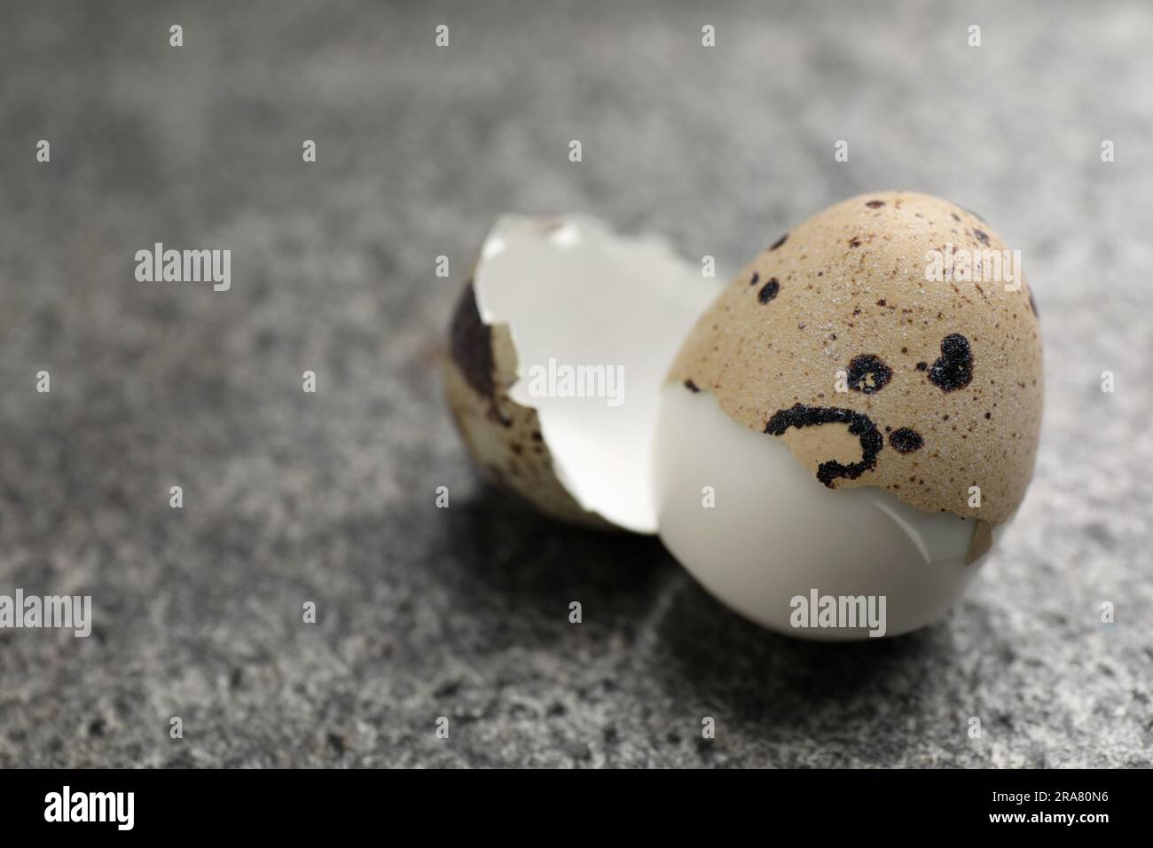 Boiled quail egg partly in shell on grey table, closeup. Space for text ...