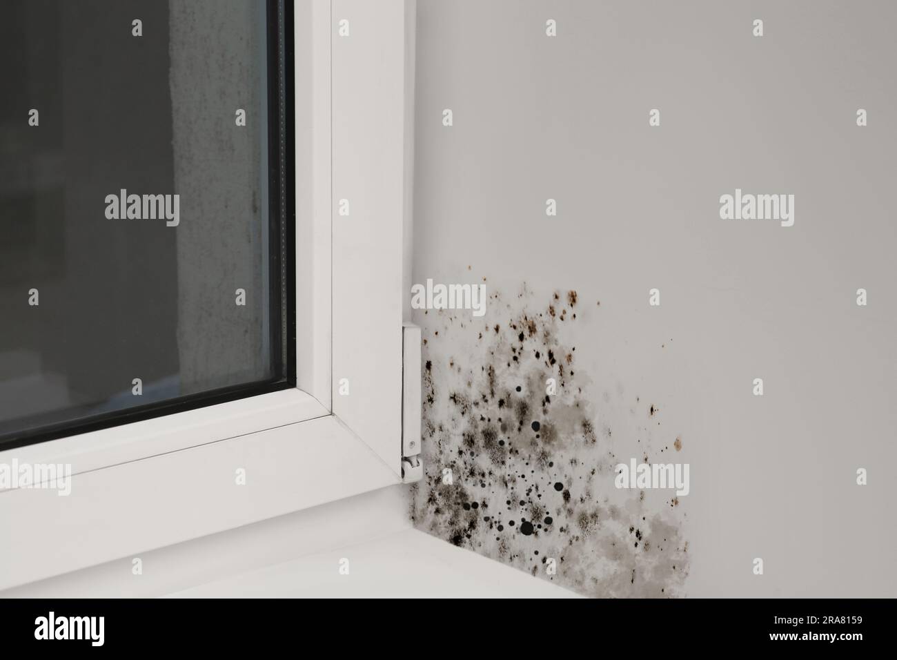 Wall affected black mold hi-res stock photography and images - Alamy